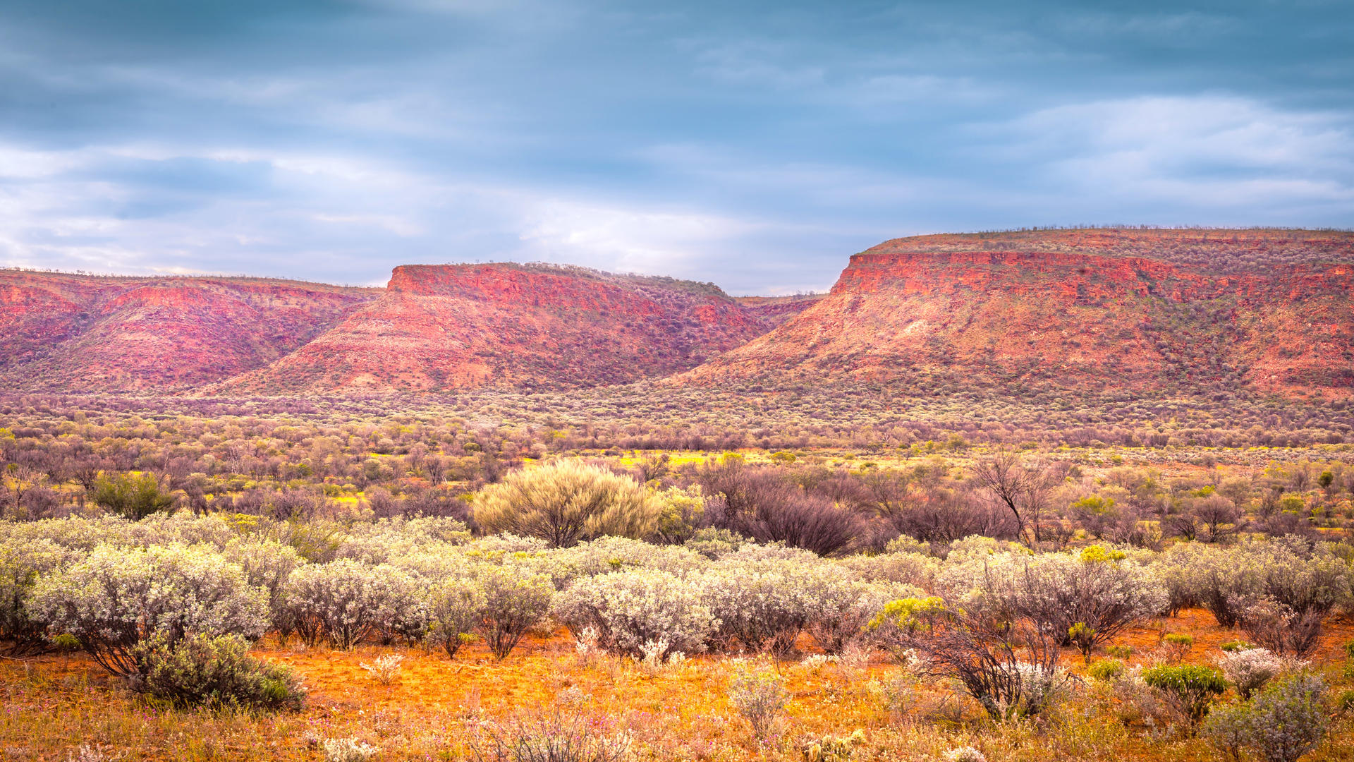PKW Rundreise Von Alice Springs Nach Uluru 6 Tage Saison 2019 20 pkw-rundreise-von-alice-springs-nach-uluru-6-tage-saison-2019-20