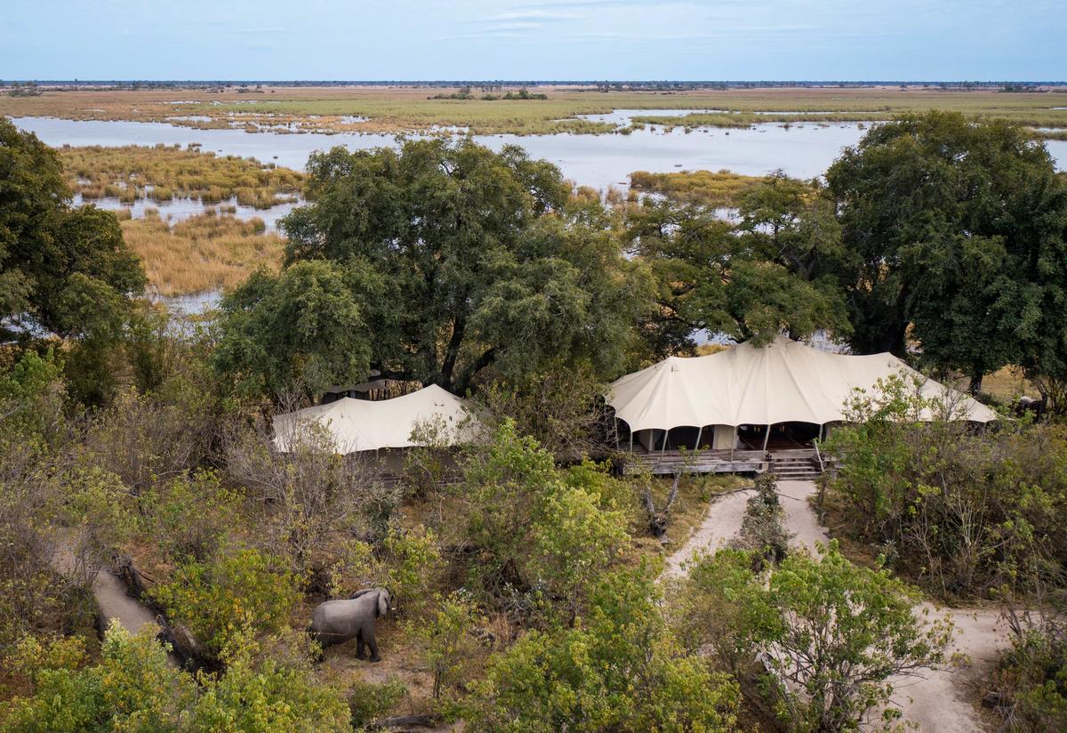 Zarafa Camp ★★★★★ - Botswana Reisen & Informationsportal