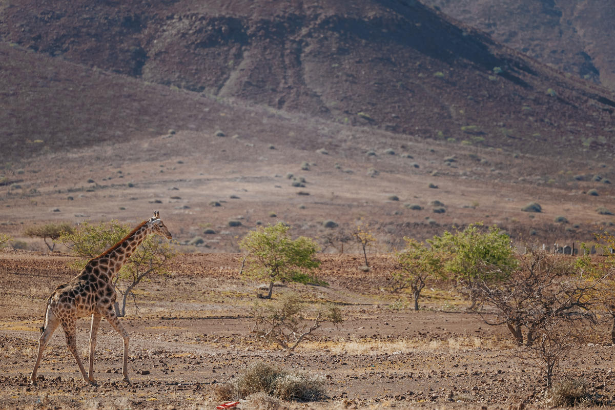 Ongongo Waterfall Campsite - Unterkünfte - Namibia Reisen ...