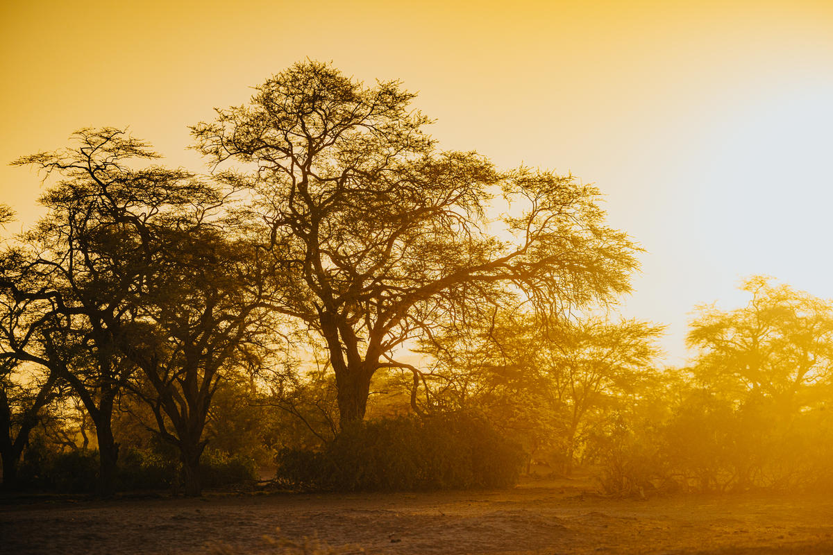 Ongongo Waterfall Campsite - Unterkünfte - Namibia Reisen ...