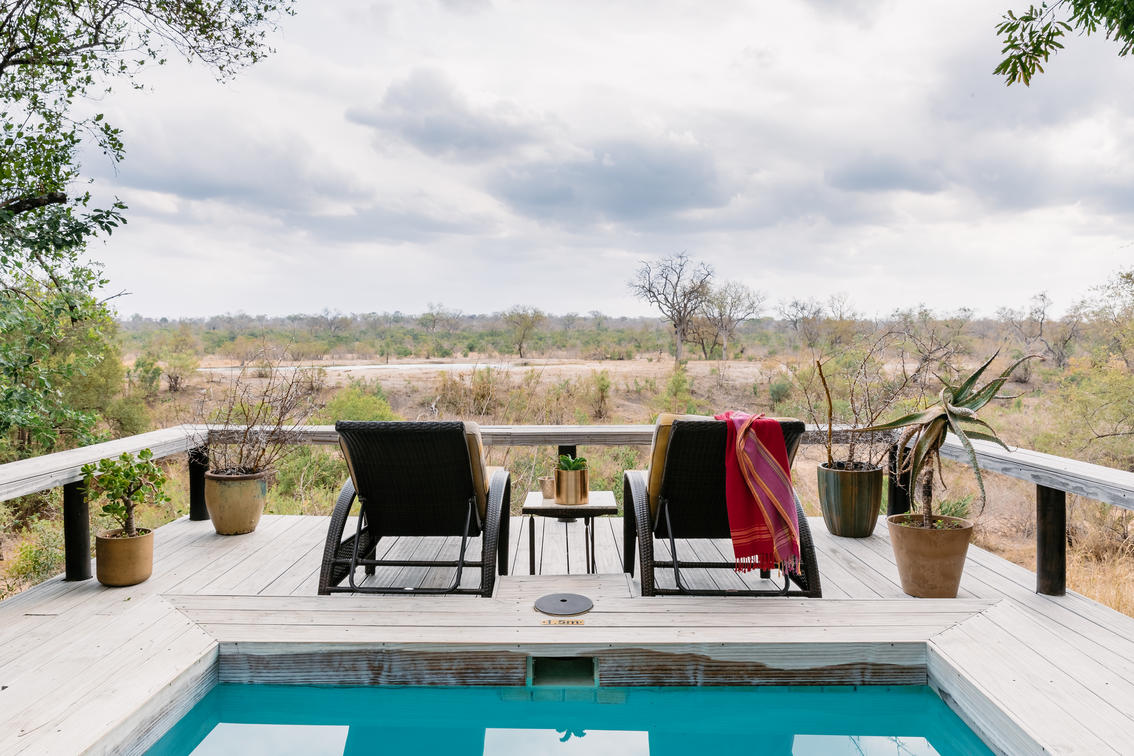 Simbambili Game Lodge - Gallery
