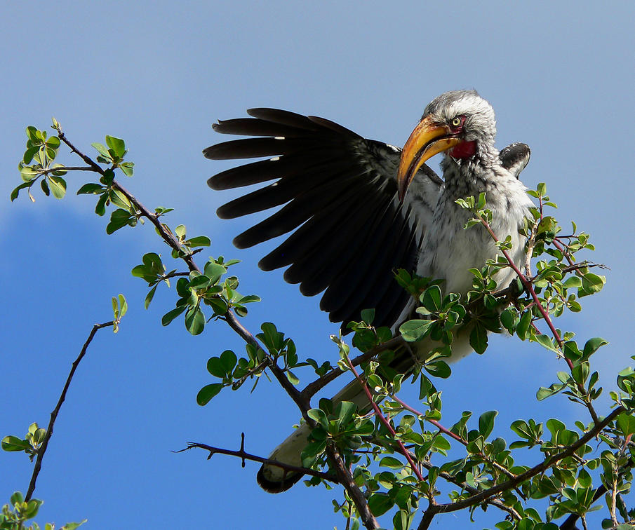Huab Lodge - Galerie