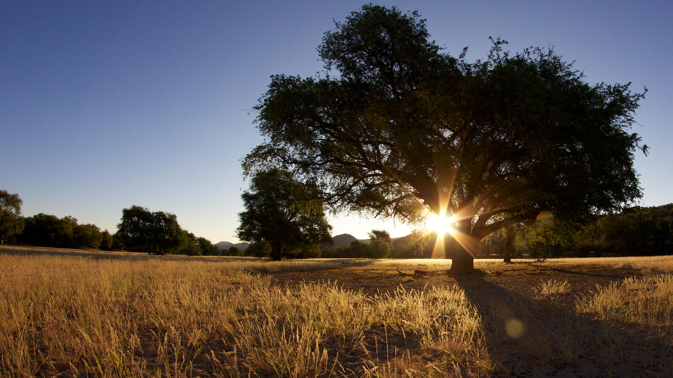 Huab Lodge - Galerie