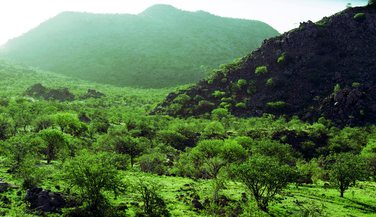 Huab Lodge - Galerie
