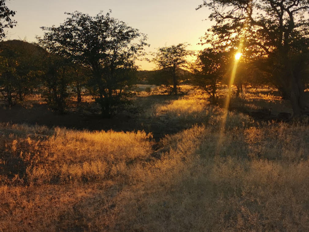 Huab Lodge - Galerie