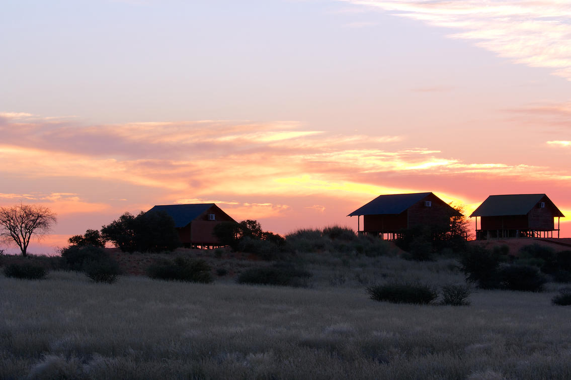 Bagatelle Kalahari Game Ranch - Gallery