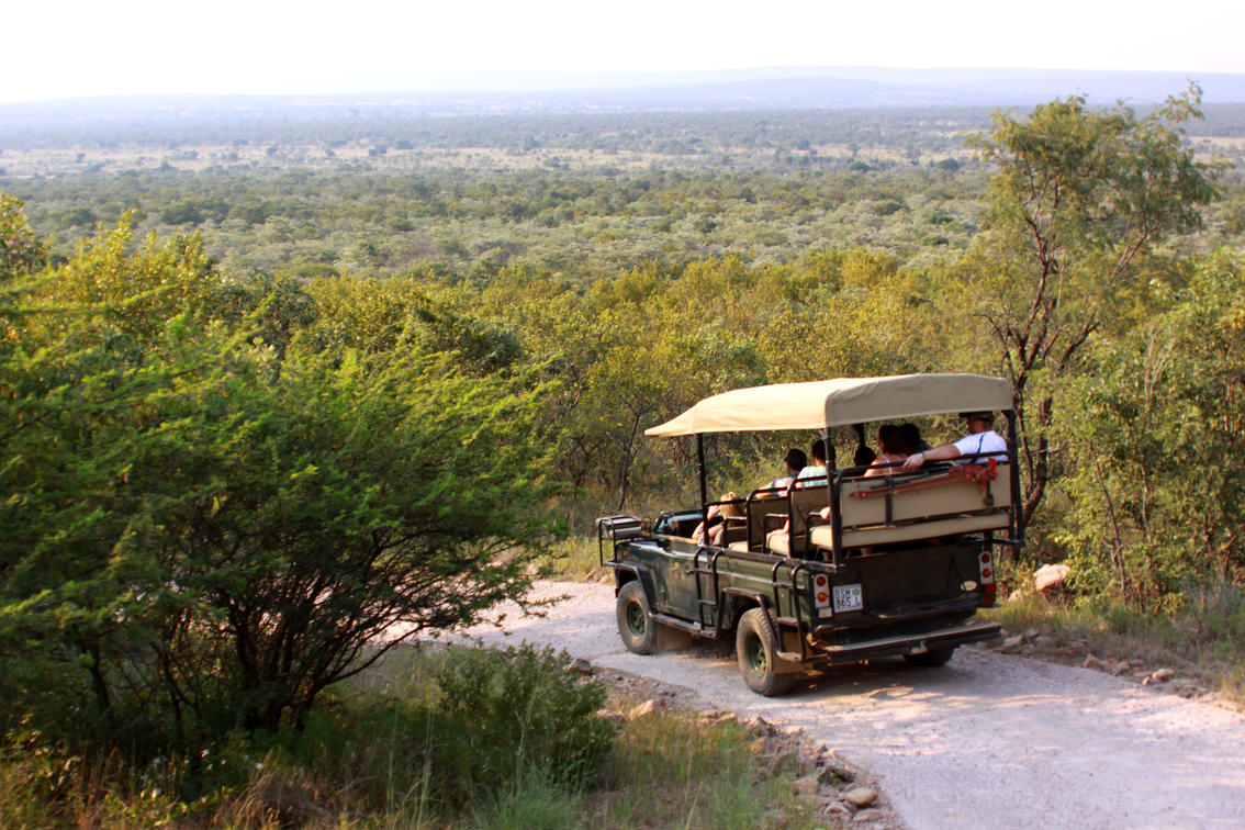 Bushwa Private Game Lodge - Gallery
