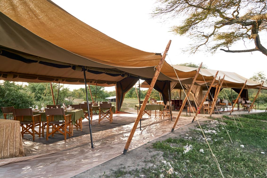 Intimate Camp Zebra - Gallery