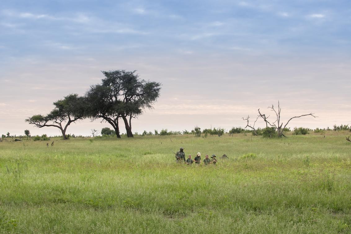 African Bush Camps Somalisa Acacia - Gallery