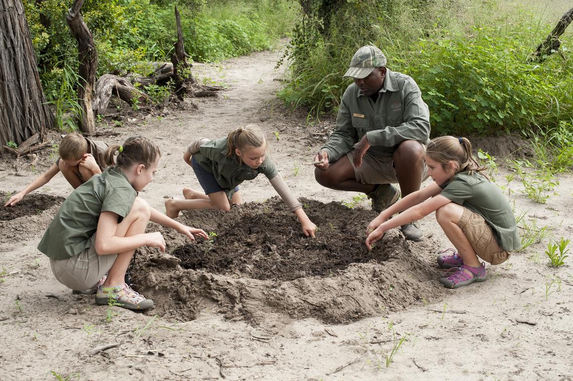 African Bush Camps Somalisa Acacia - Gallery