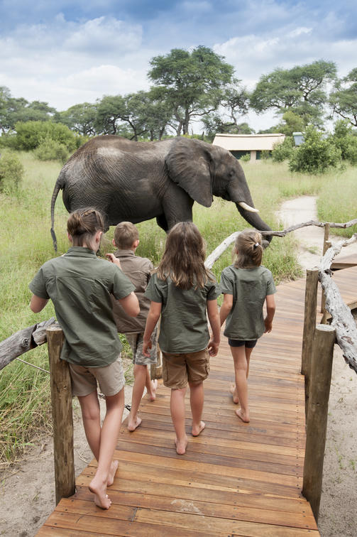 African Bush Camps Somalisa Acacia Camp - Gallery