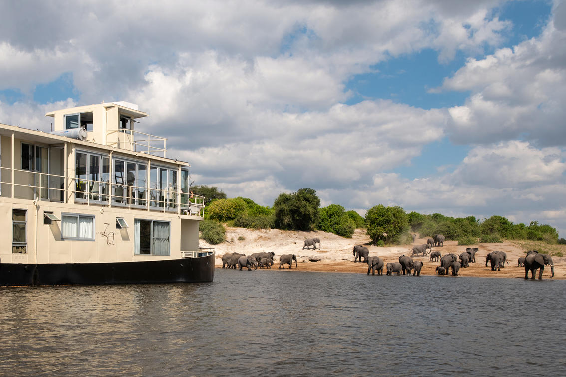 Chobe Princess By Mantis - Gallery