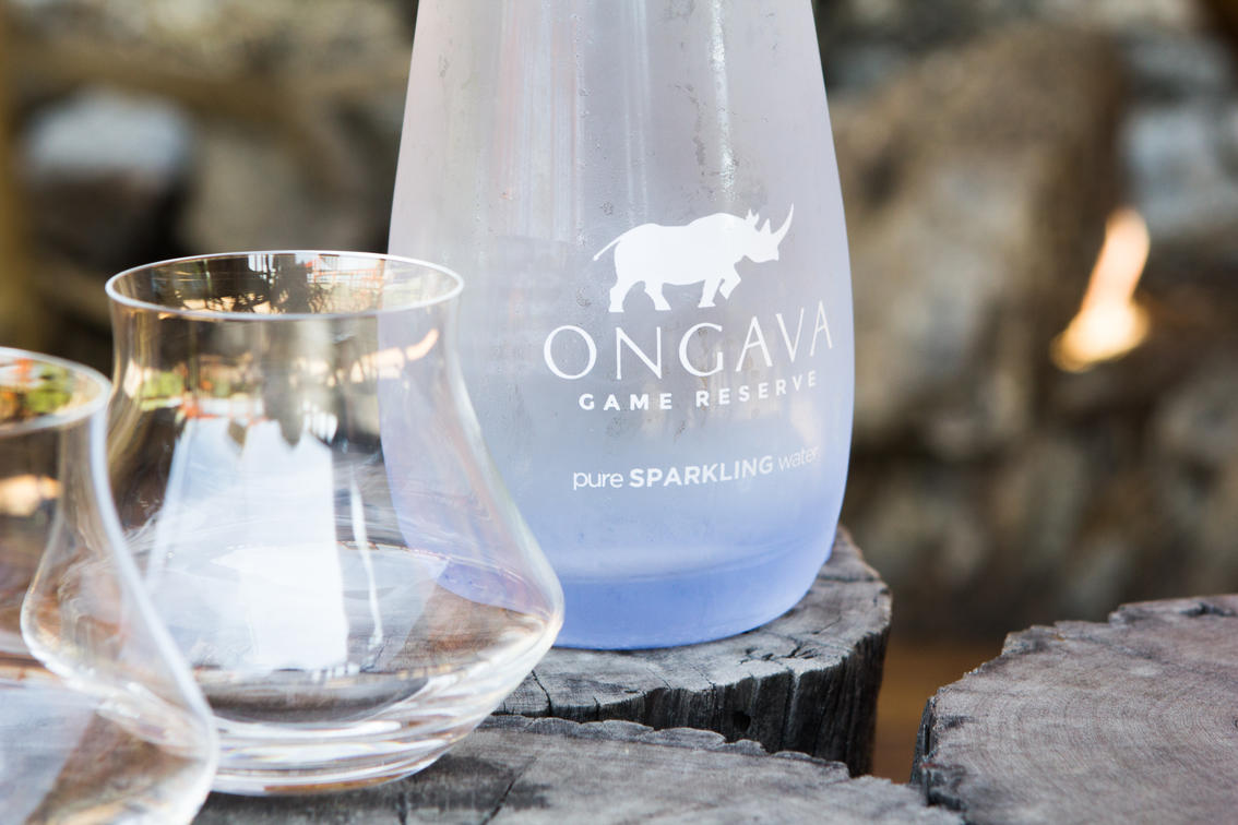 Little Ongava - Gallery