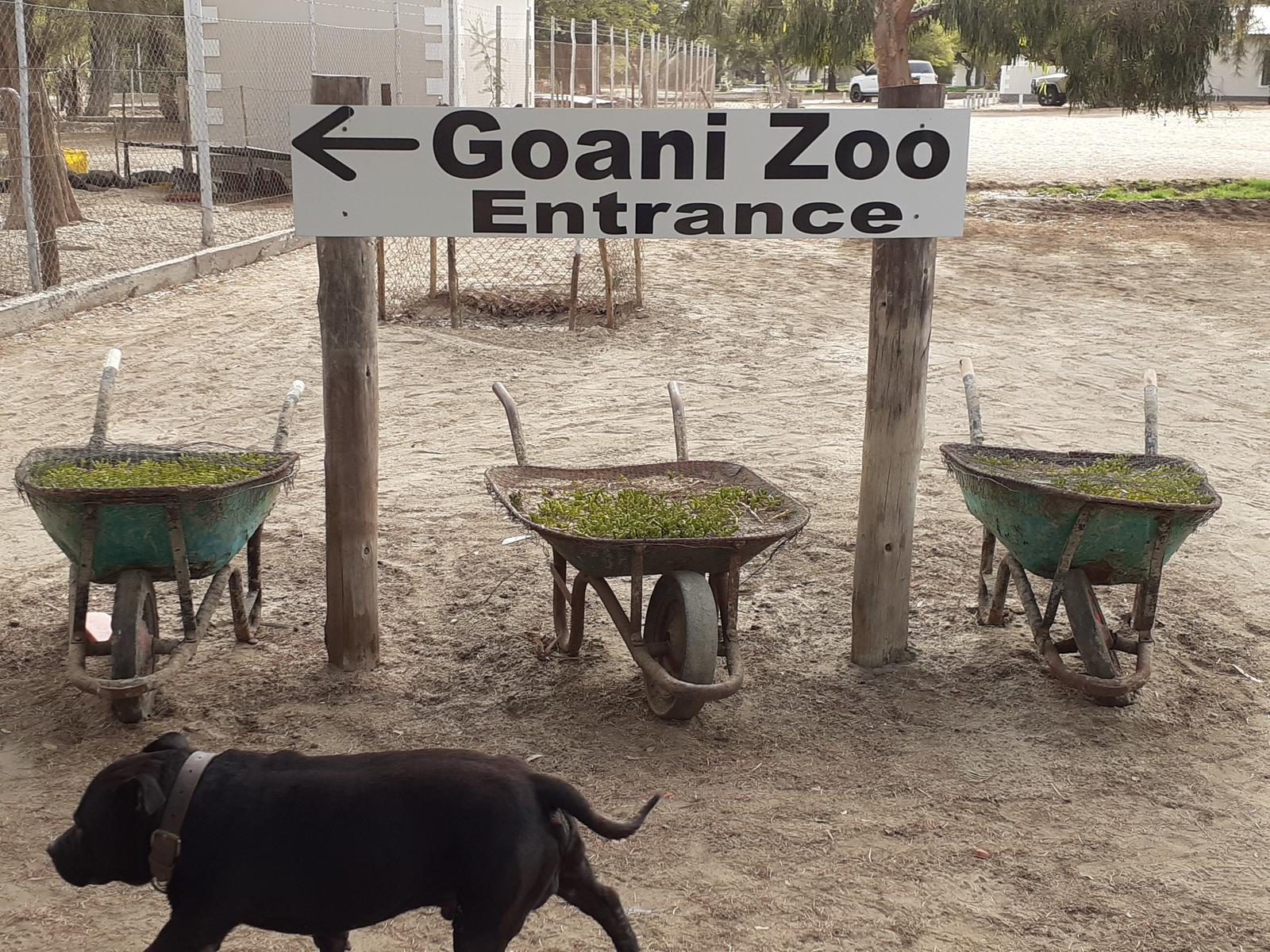 Goanikontes Oasis Rest Camp | Get the Best Accommodation Deal - Book ...