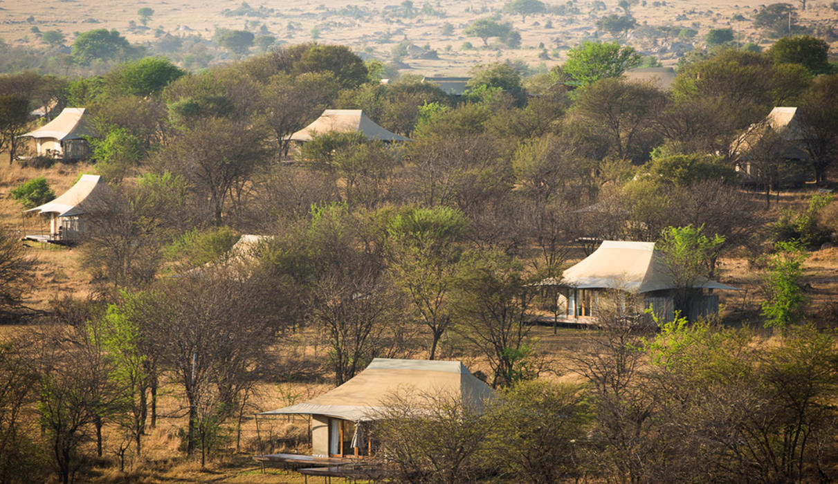 Sayari Camp: Luxury Safari Camp | Serengeti | Extraordinary Journeys