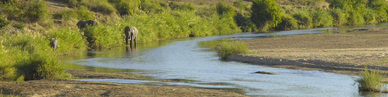 Overview - 10-day Limpopo Ivory Route