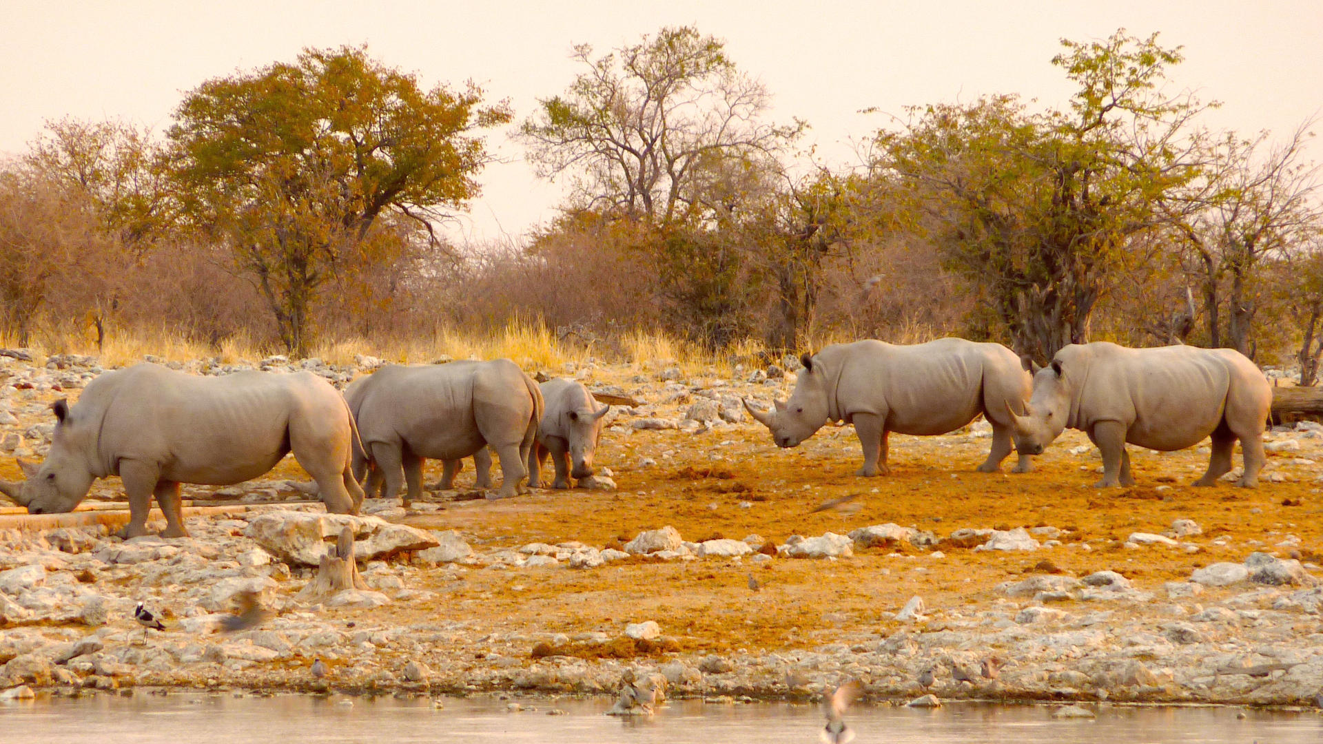 22 DAYS NORTHERN NAMIBIA -BOTSWANA TOUR (ENGLISH)