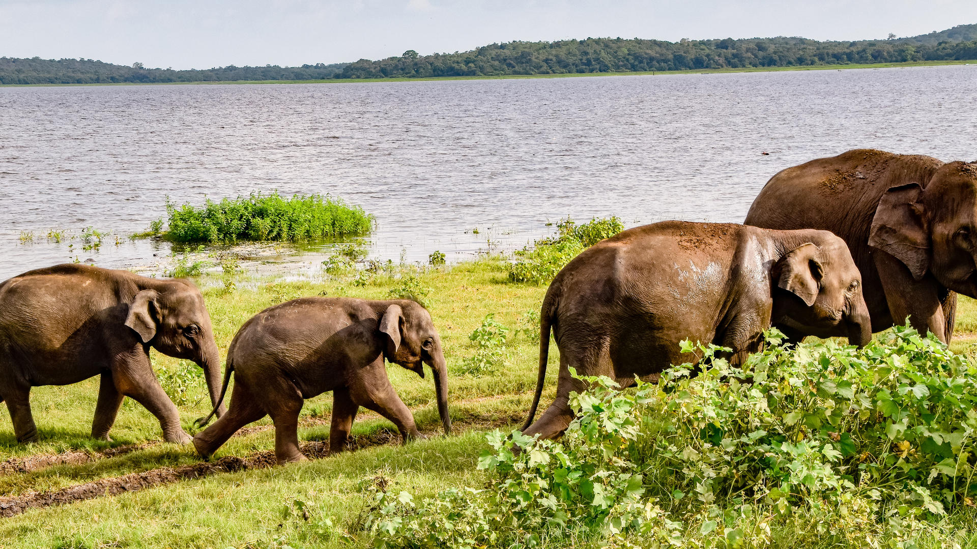 Les Relais d'Asie - L'âme de Ceylan • Itinéraire privé au Sri Lanka - 9 ...