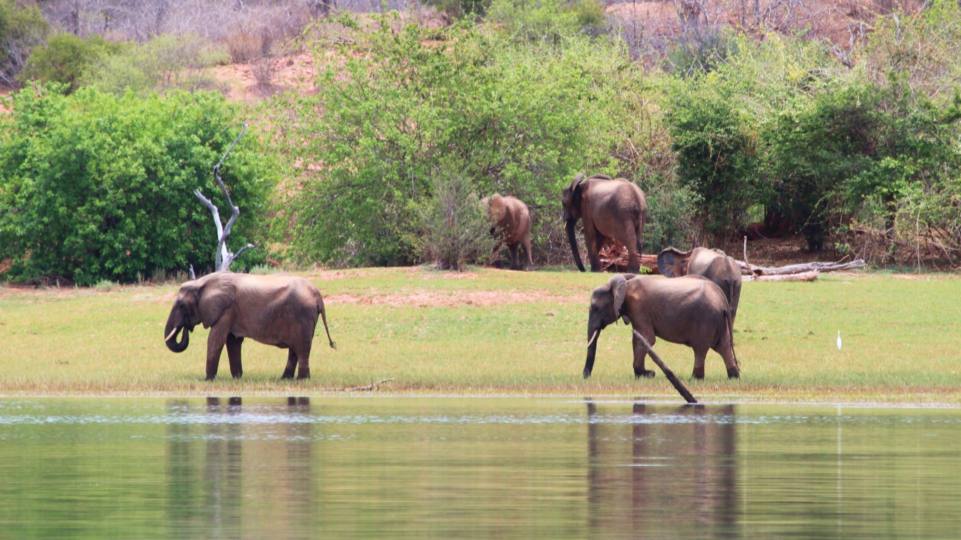 TransAfrica - TransAfrica Tour