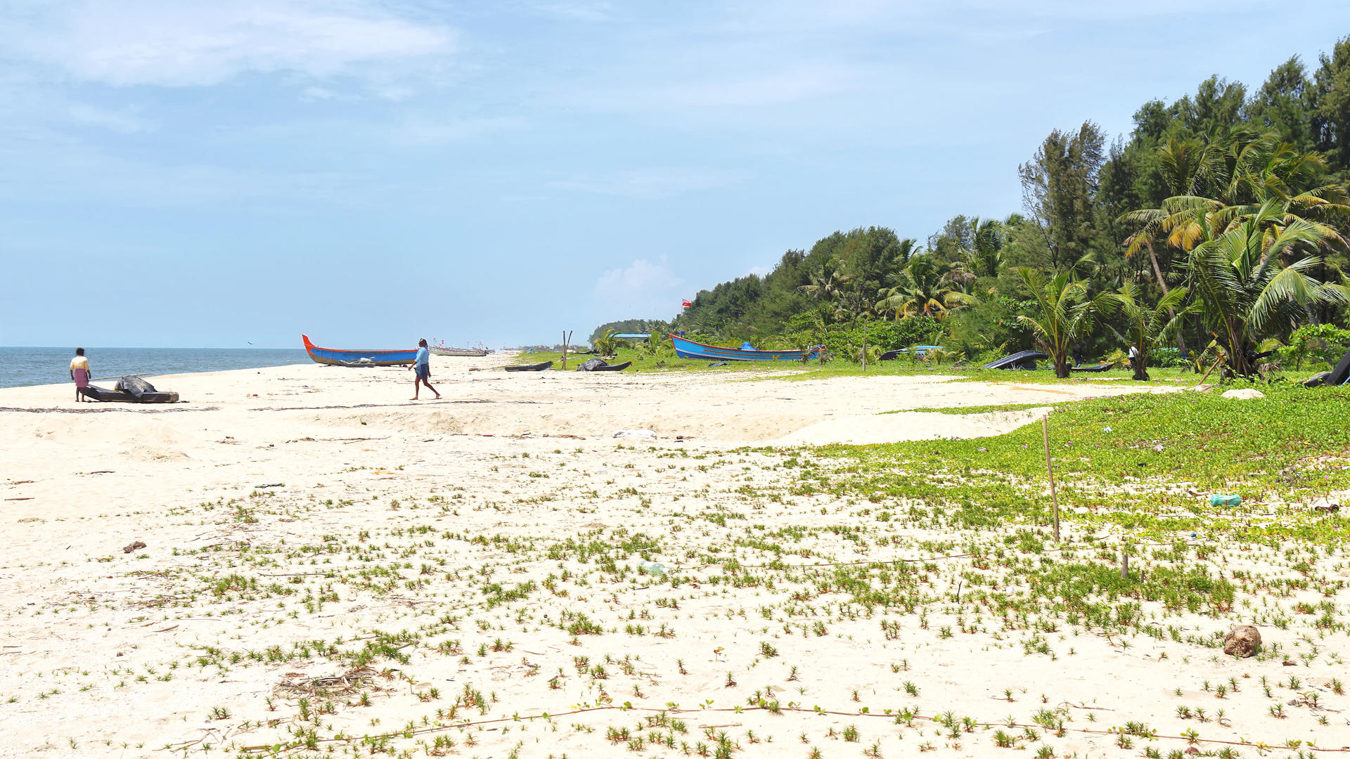 LE MEILLEUR DU KERALA