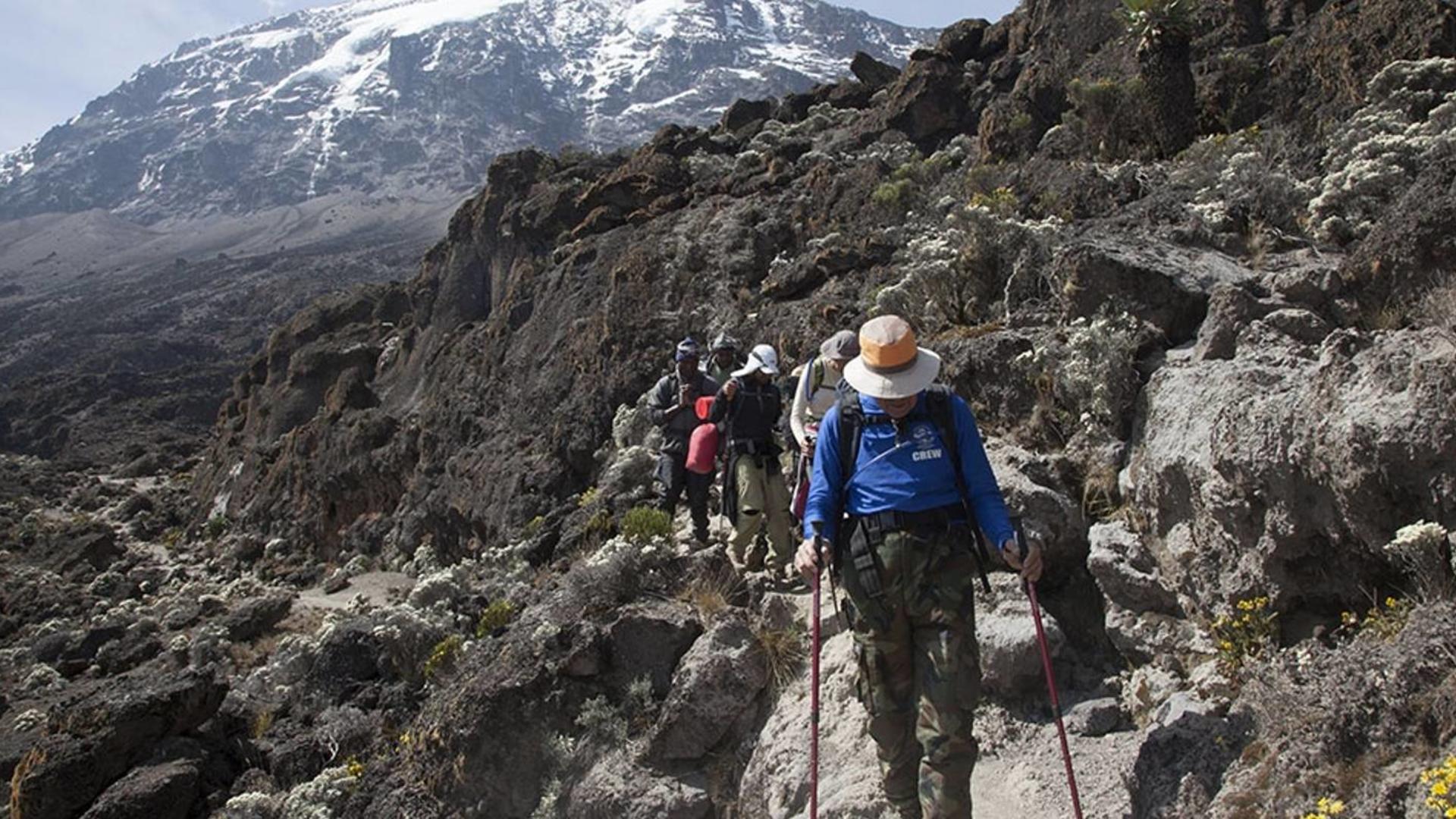 Bunson Safari - 8 DAYS MT. KILIMANJARO MT. CLIMBING UMBWE ROUTE - 2022