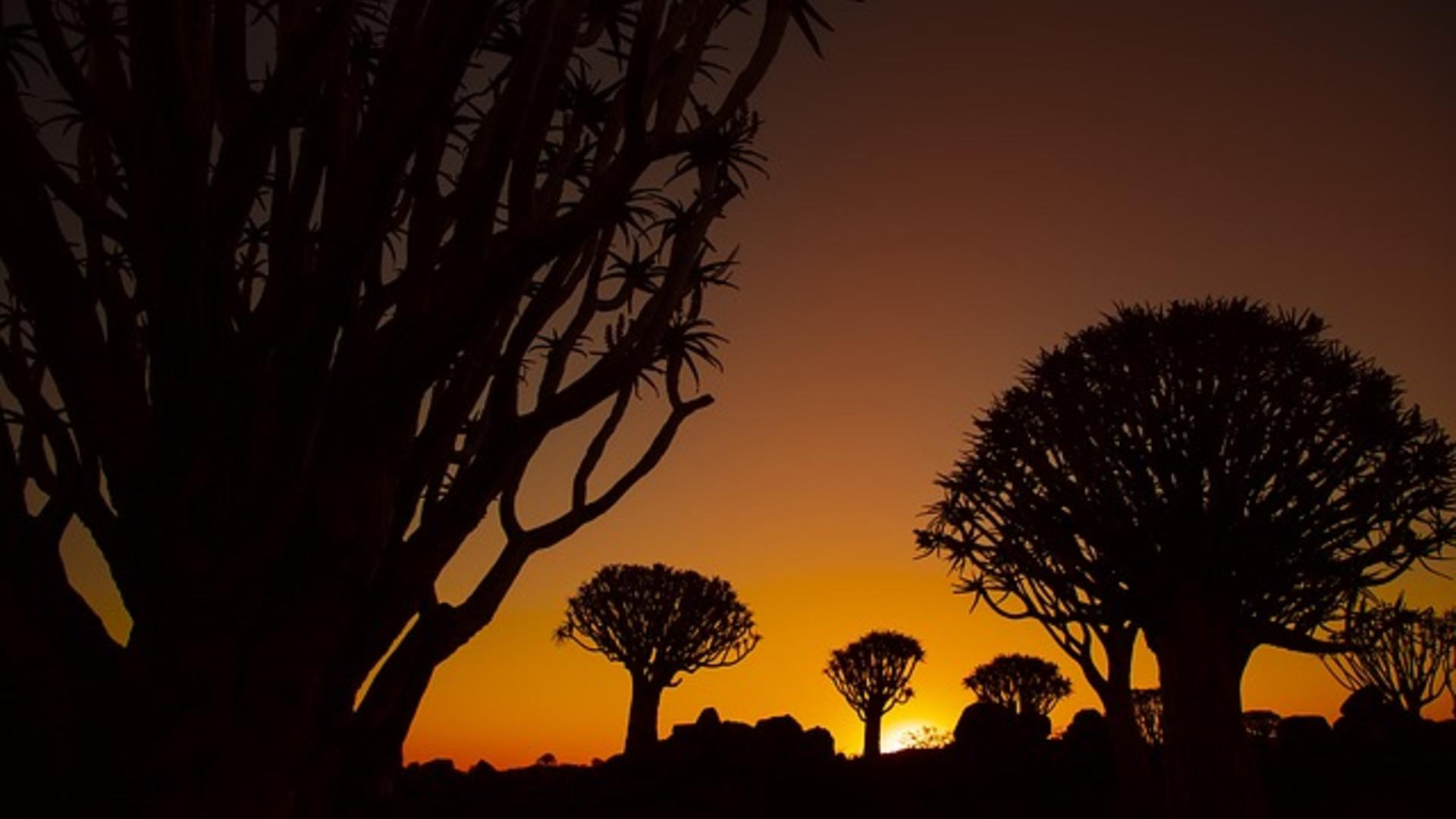 Chameleon Holidays & Travel - 12 Day Classic Namibia Camping Scheduled ...