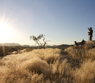 Huab Lodge - Galerie