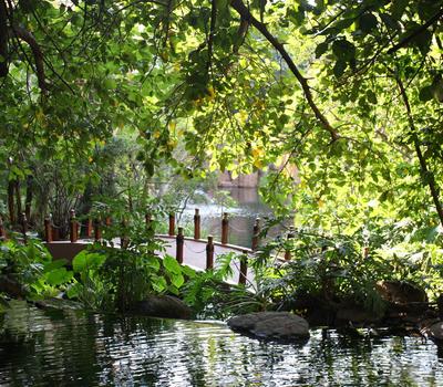 Sun City Cascades Hotel - Gallery