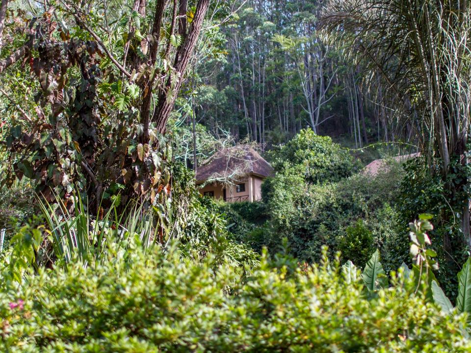 Andasibe-Mantadia-Nationalpark: Highlights, Wandertrails, Lodgetipp ...