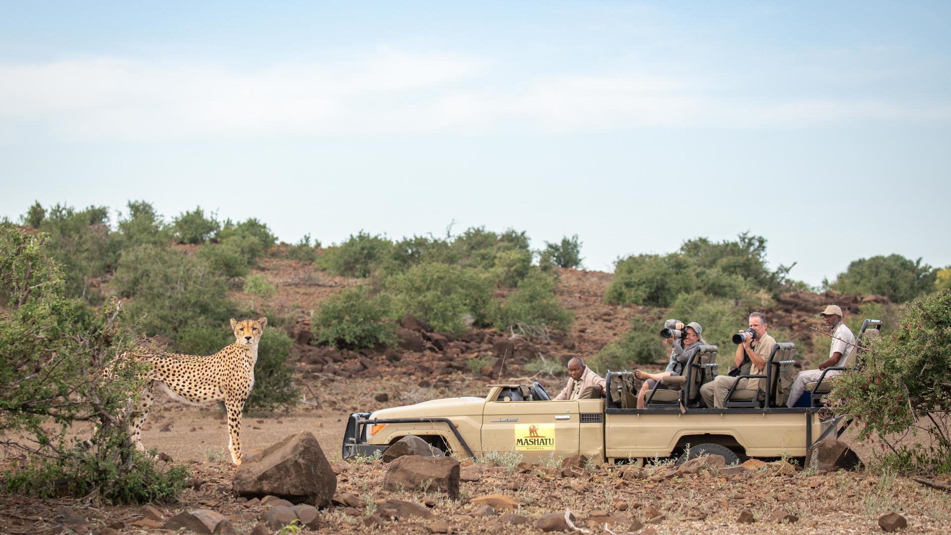 Mashatu Lodge - Home