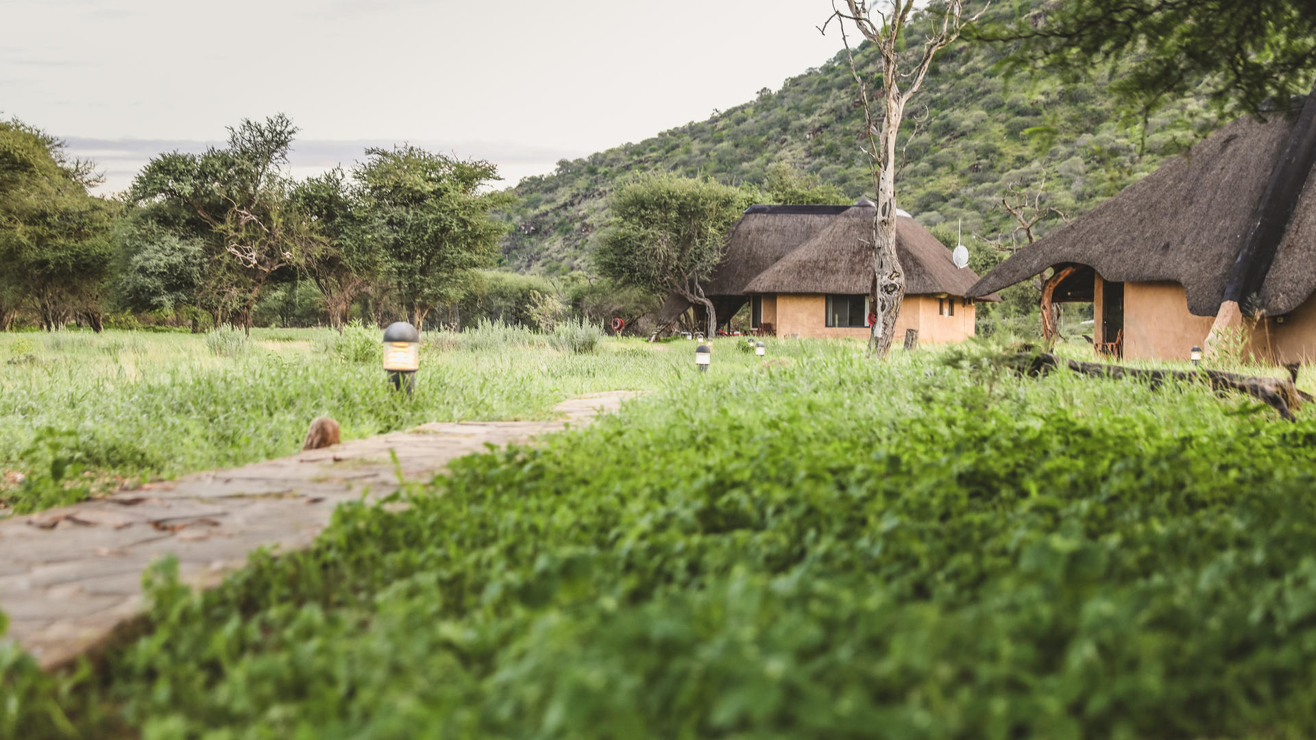 Okapuka Safari Lodge - Home
