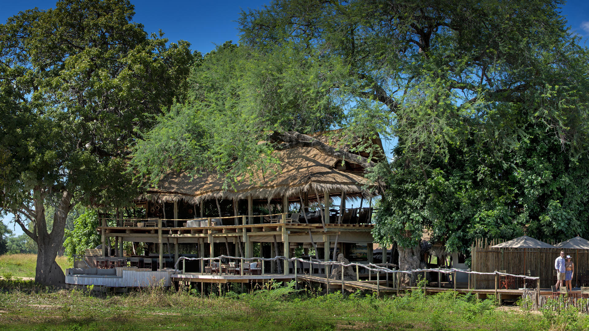 African Bush Camps Nyamatusi Mahogany - Home