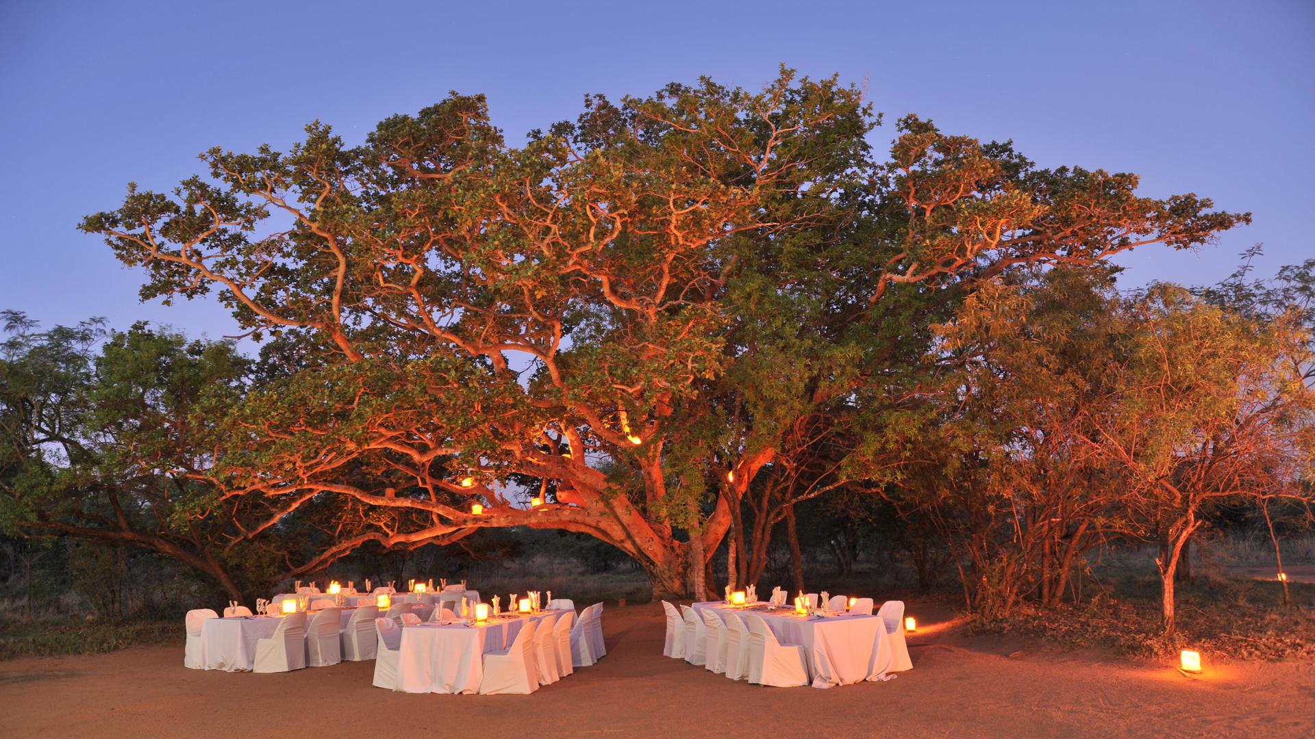 Mabula Game Lodge - Home