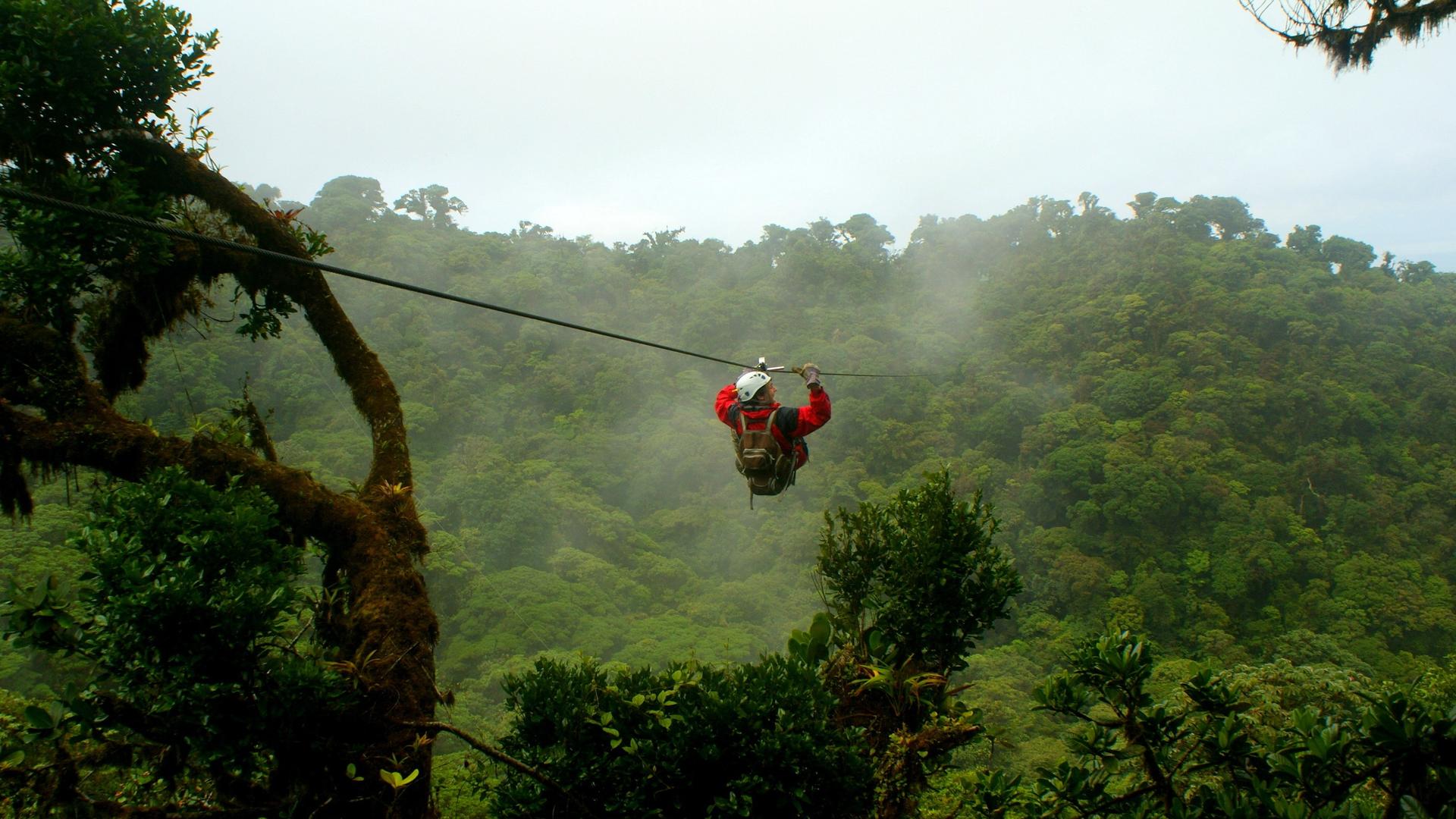 Quercus Travel Monteverde Highlights Tour: Zipline Canopy, Hanging ...