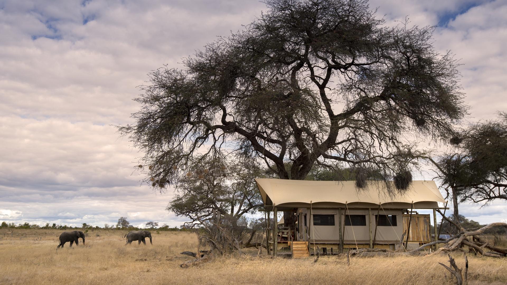 African Bush Camps Somalisa Expeditions - Home